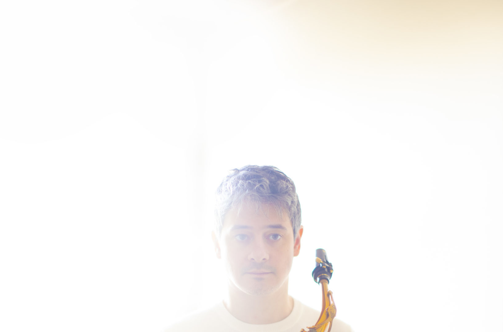 Dmitry Baevsky trio - le phénix